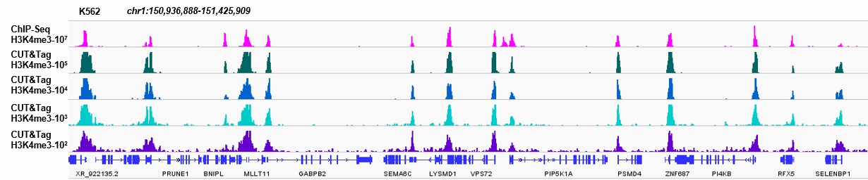Hyperactive Universal CUT&Tag Assay Kit for Illumina | 鼎捷生技有限公司